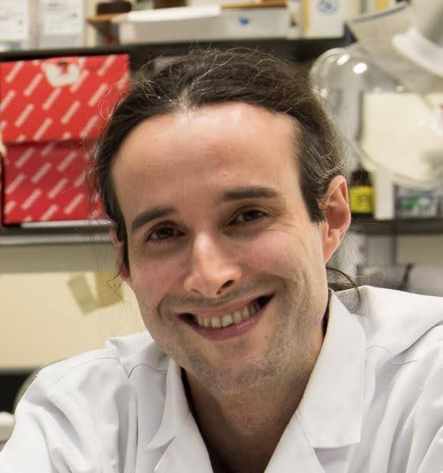 An Epigenetic Journey into the Origin, Evolutionary Dynamics and ...