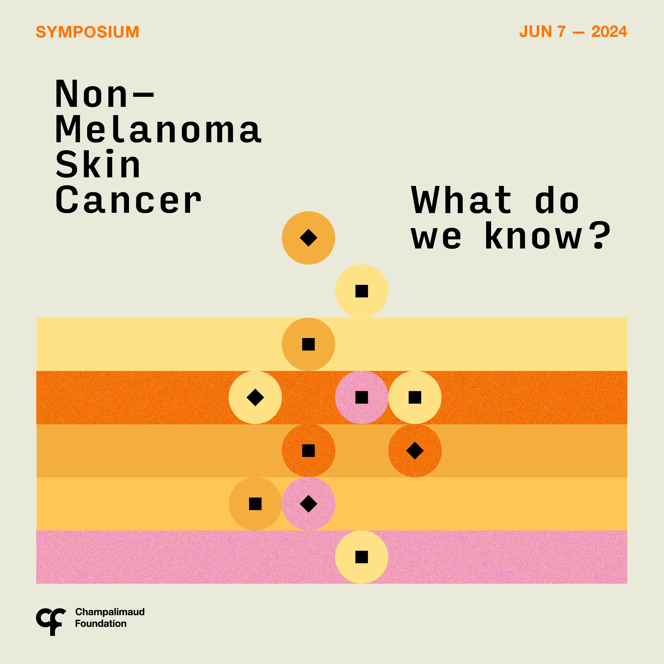 Symposium: Non-Melanoma Skin Cancer. What do we know? | Champalimaud ...